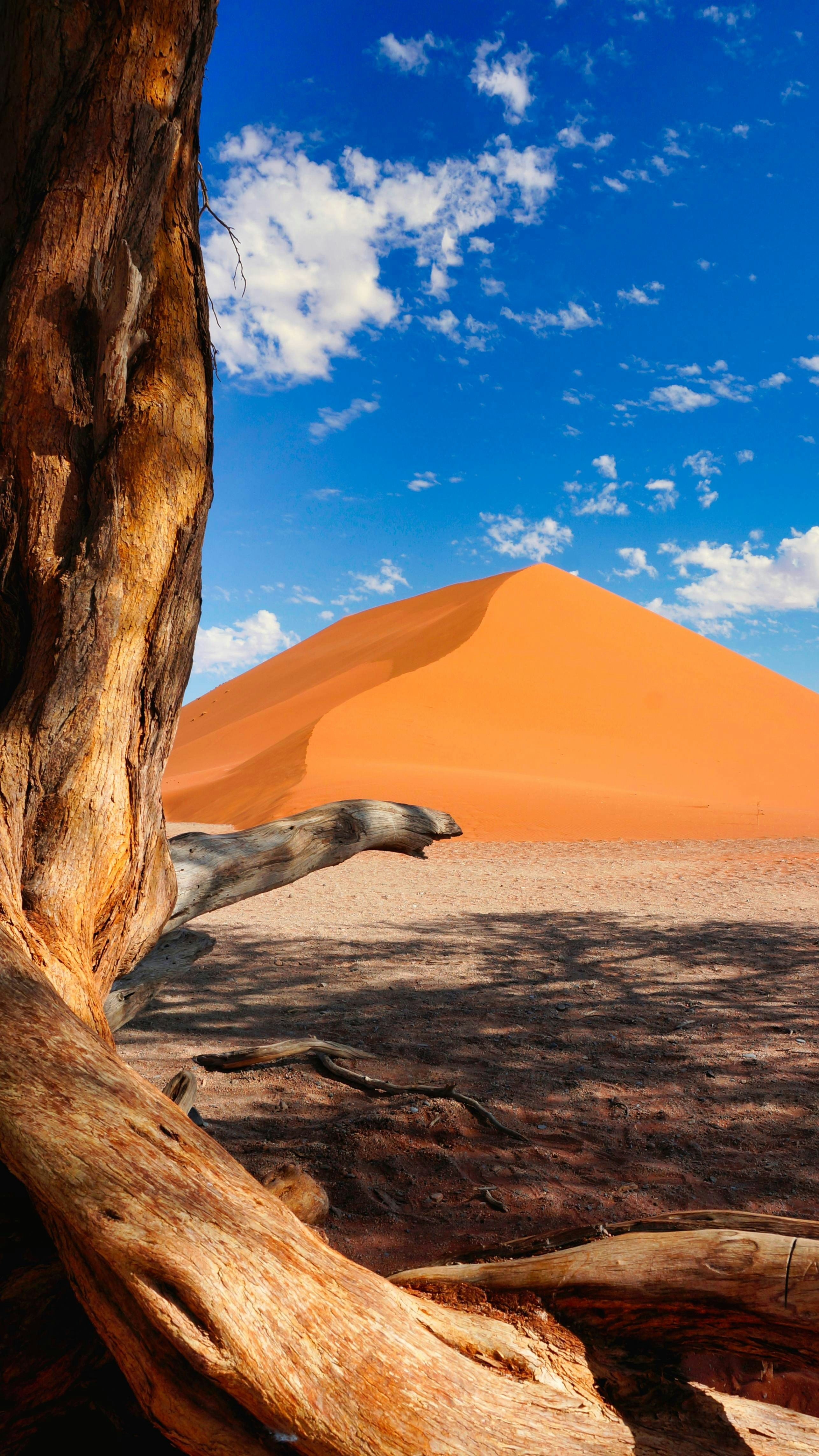 Namibia Wild 4X4 – Zonzers